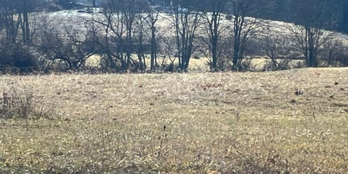 Murder Investigation Underway After Kentucky Man Found Dead In Home